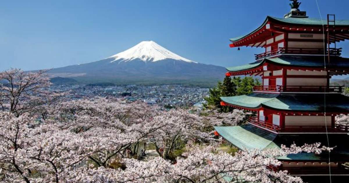 Mount Fuji Sightseeing and Shopping Day Tour|Arakurayama Mount Fuji Sightseeing and Shopping Day Tour|Arakurayama